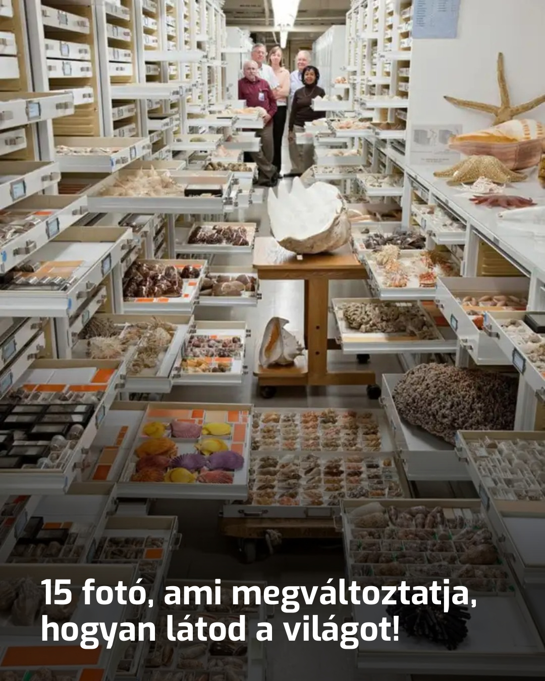 Fedezd fel a hétköznapi dolgok szokatlan oldalát 15 fotón keresztül ...